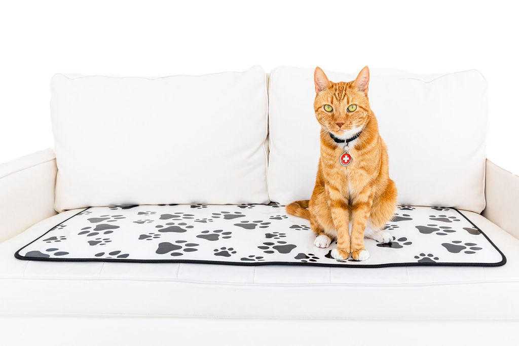 Medical-Grade Vet Table Mats For Clinics & Hospitals